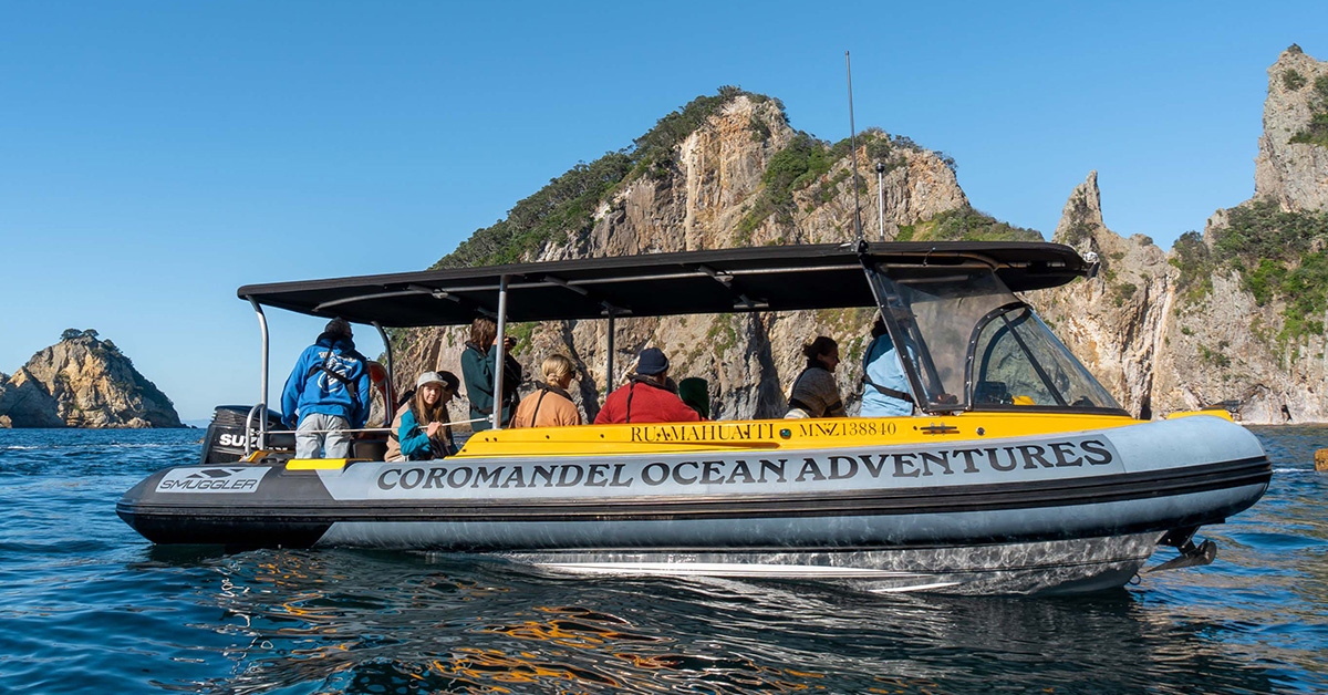Coromandel Ocean Adventures | Book now